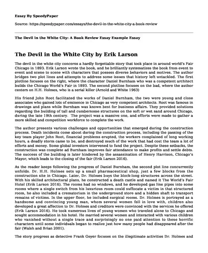 The Devil In The White City A Book Review Essay Example The Devil In The White City A Book Review Essay Example