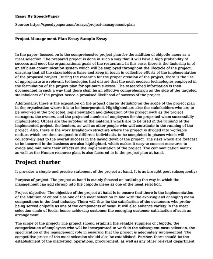  Project Management Plan Essay Sample SpeedyPaper
